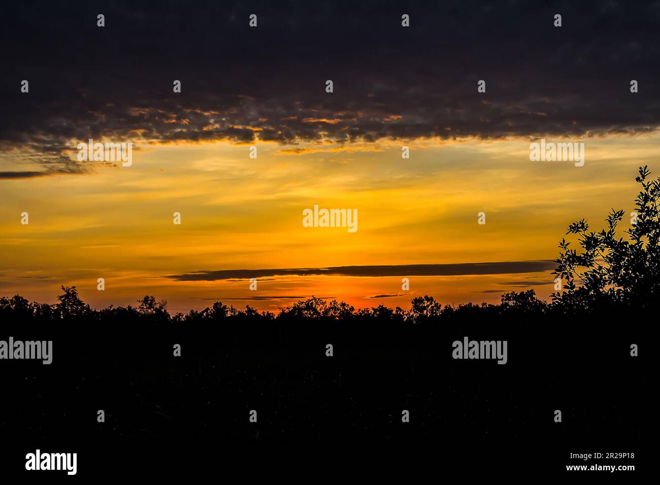 Aurora. Sun is below horizon, but sunlight colors the sky. Summer ...