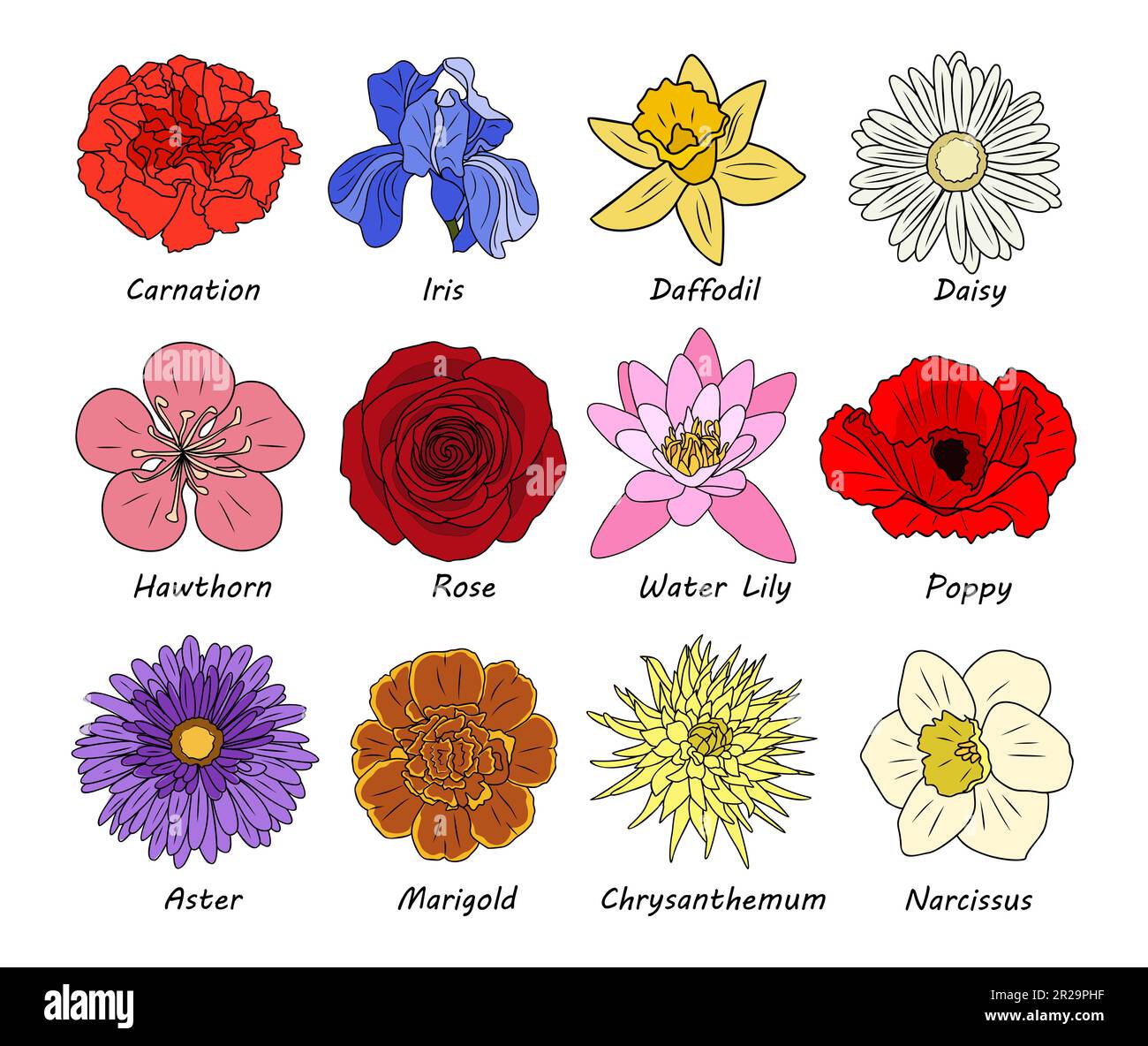 Iris in spring garden Stock Vector Images - Alamy