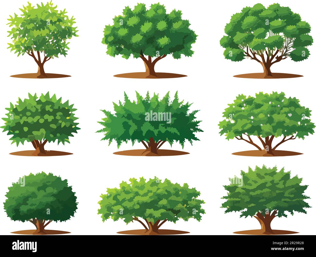 Breathtaking forest landscape green trees Stock Vector Images - Alamy