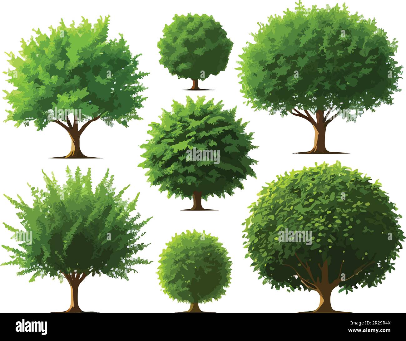 Wonderful forest trees bushes plants art vector Stock Vector Image ...