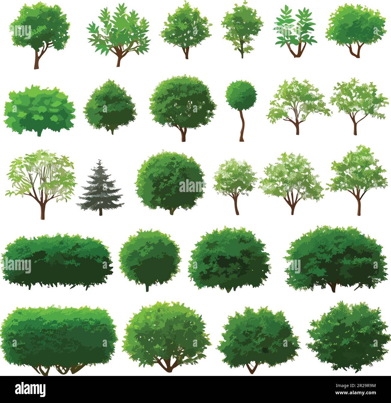 Beautiful forest trees bushes plants art vector Stock Vector Image ...