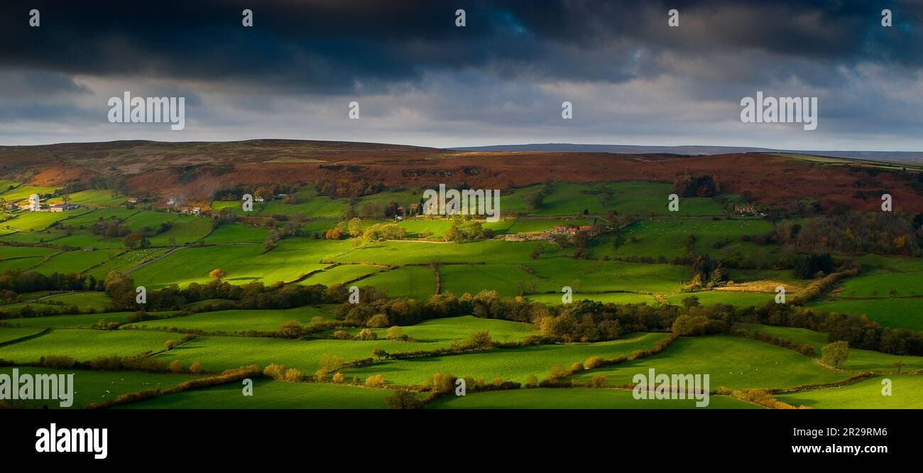 Great Fryup Dale Panoramic Stock Photo - Alamy