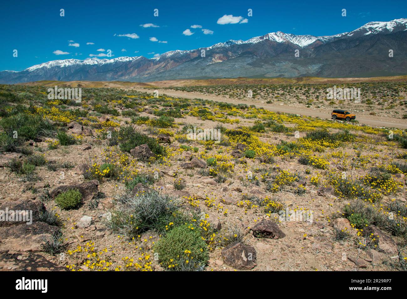 The Volcanic Tablelands, an area just north of Bishop, Inyo County, CA ...