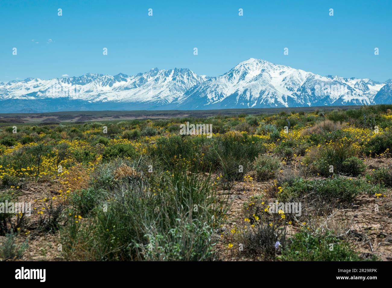The Volcanic Tablelands, an area just north of Bishop, Inyo County, CA ...