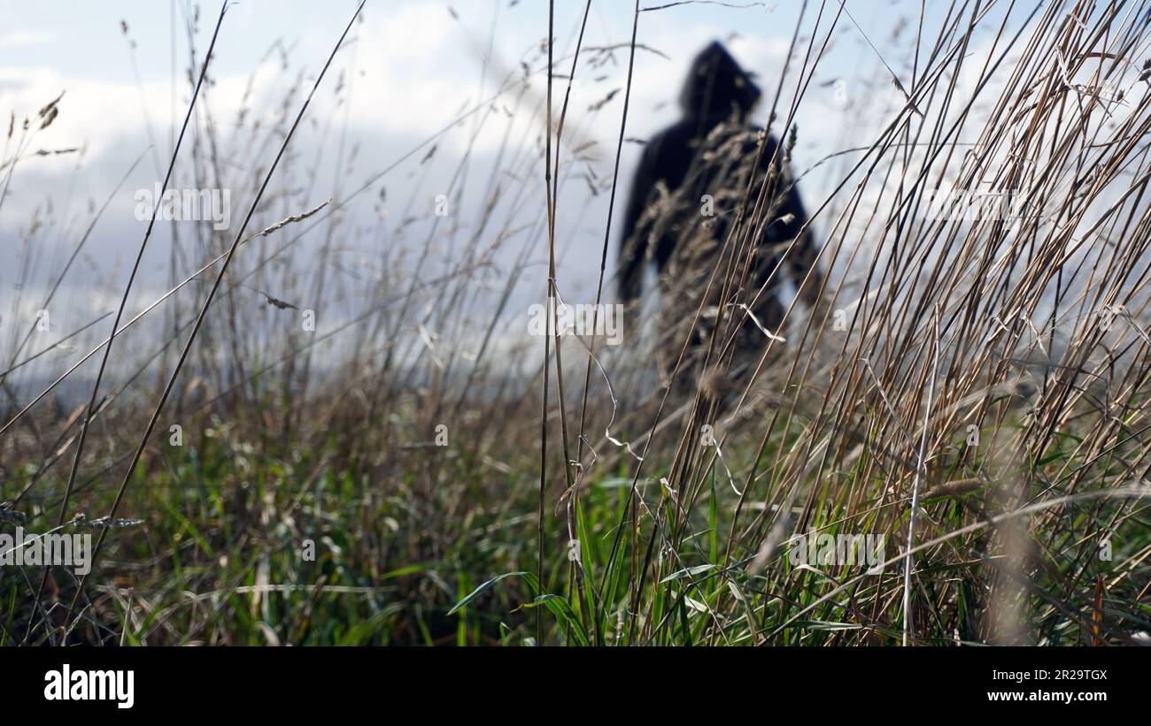 A spooky, scary ghostly hooded figure. Standing in a field. With a low ...