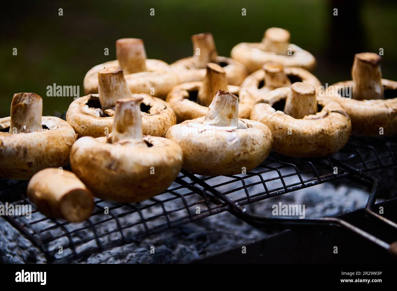 Selective focus raw seasoned marinated portobello mushrooms grilled on ...