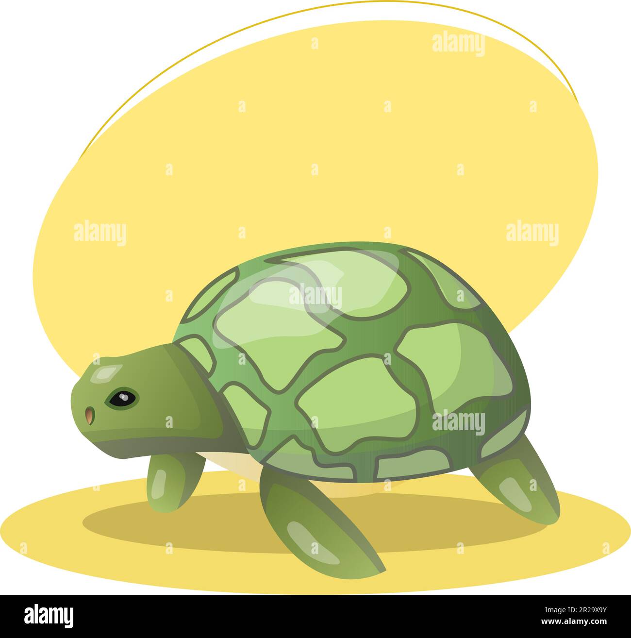 Turtle illustration. Animal, shell, paws, head. Editable vector graphic ...