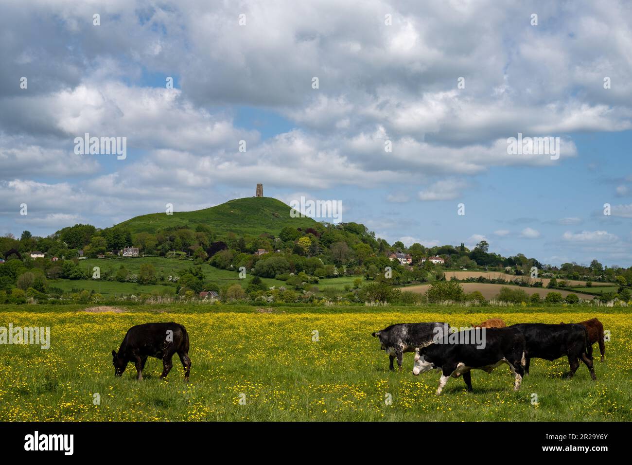 Tor glastonbury spring hi-res stock photography and images - Alamy