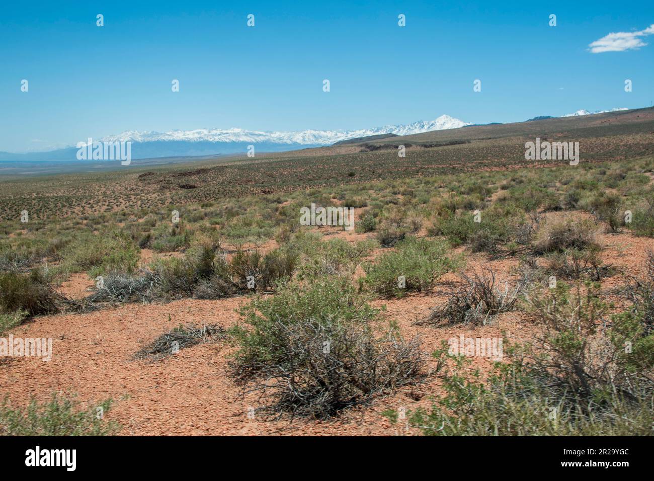 The Volcanic Tablelands, an area just north of Bishop, Inyo County, CA ...