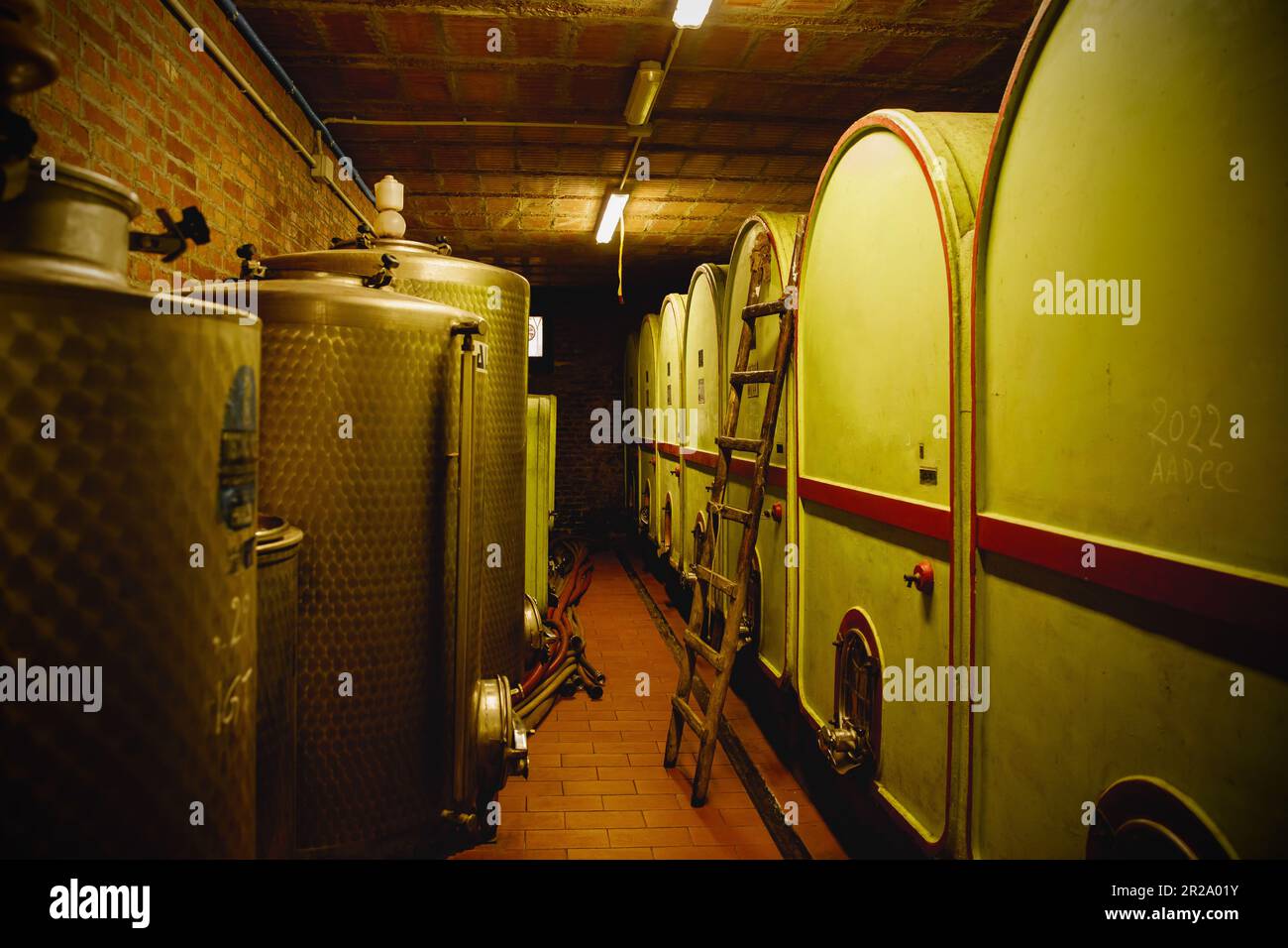 Cellar room with concrete wine tanks Stock Photo - Alamy