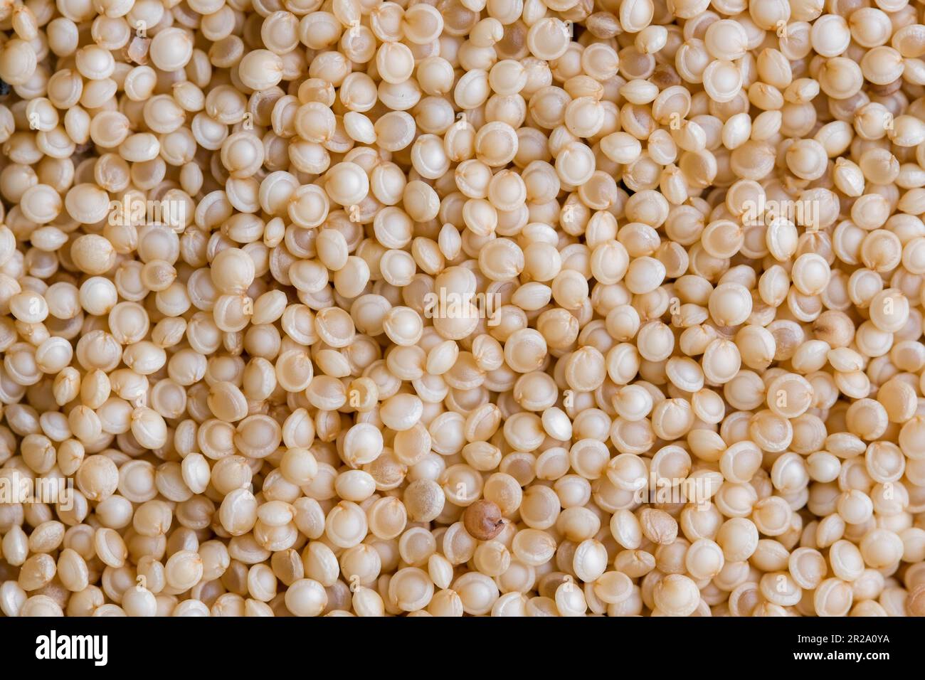 Amaranth seed abstract background. Macro texture of seeds Stock Photo ...