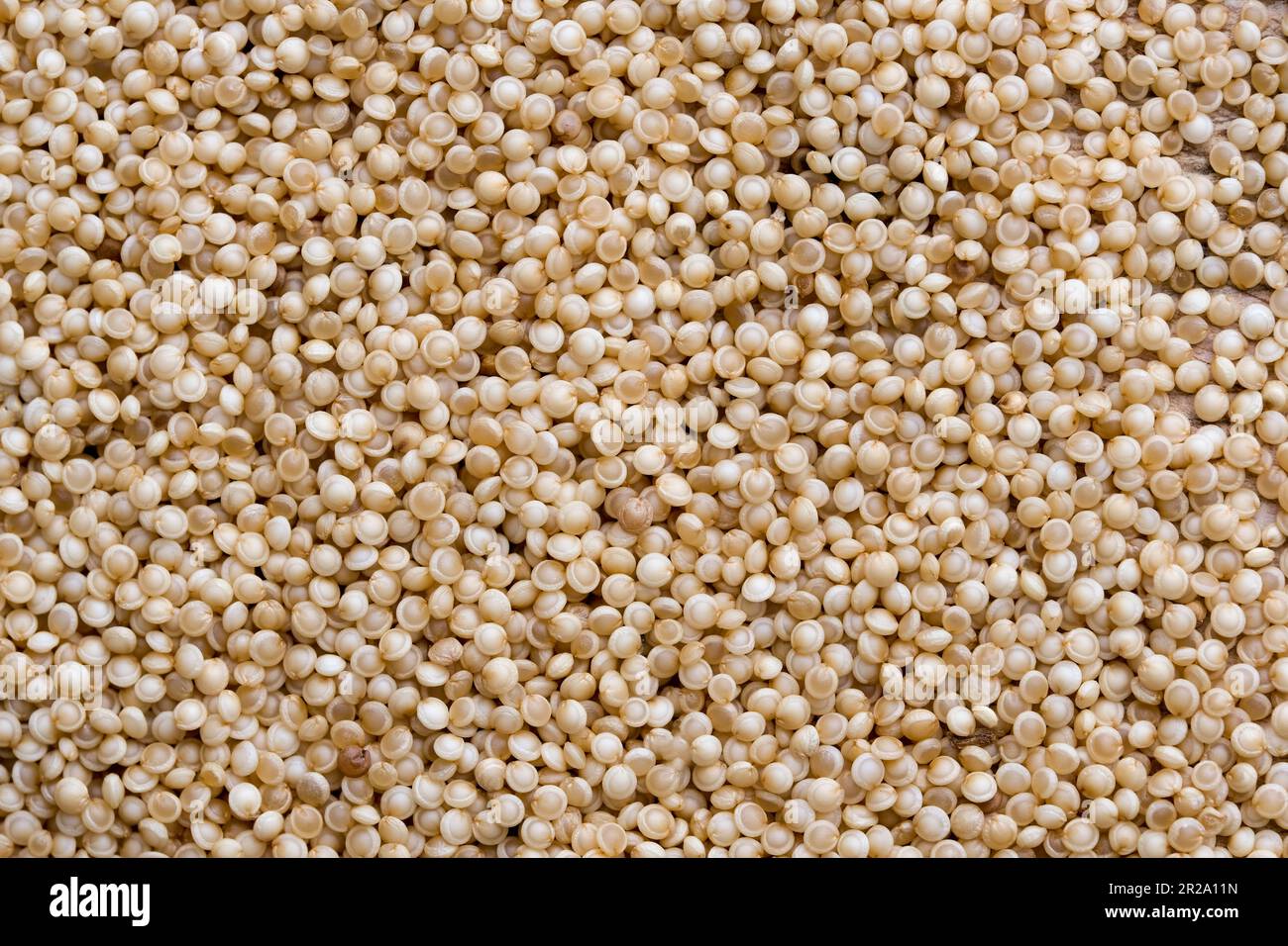 Amaranth seed abstract background hi-res stock photography and images ...