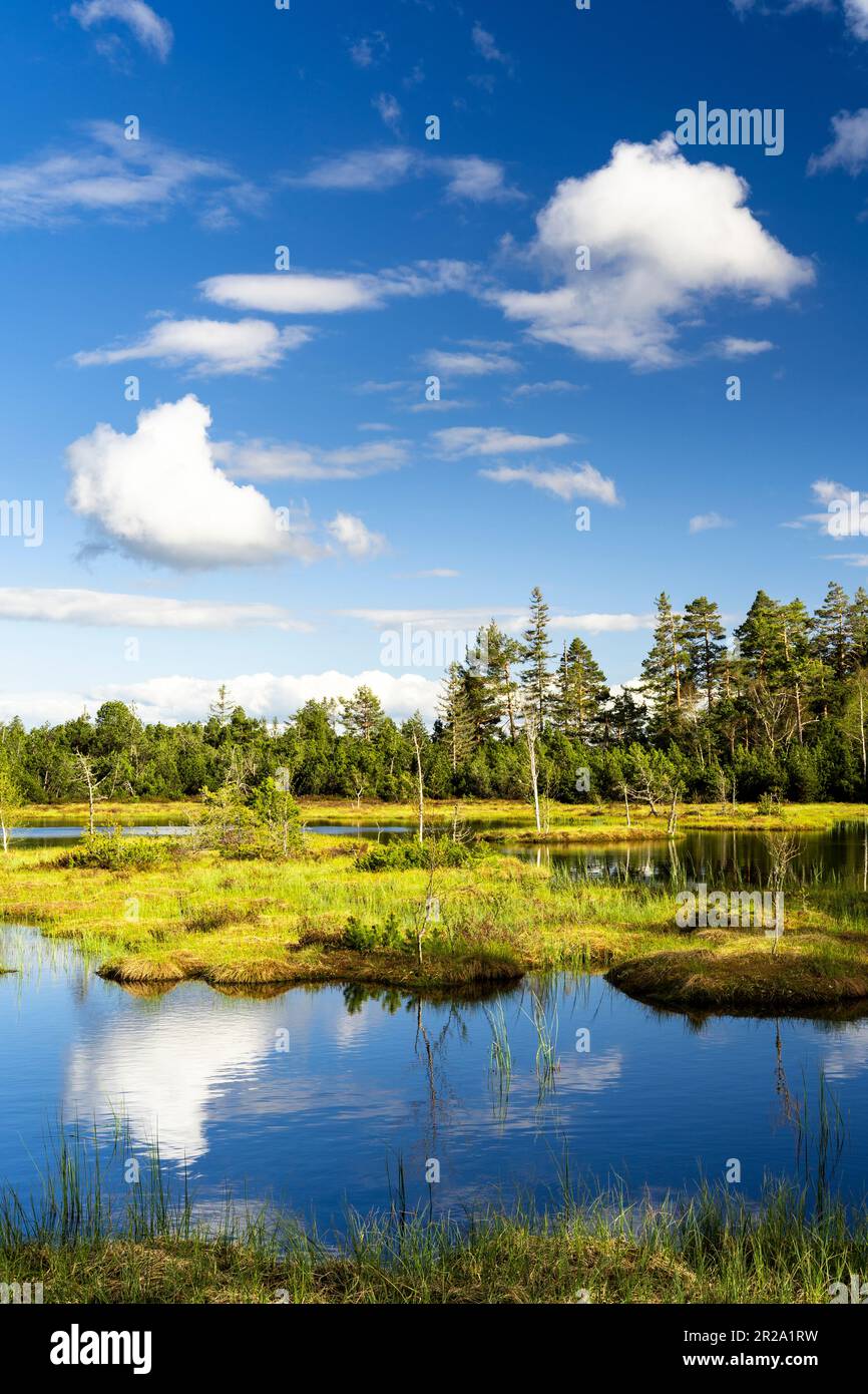 Landscape in the Black Forest. Beautiful lake Wildsee in the ...