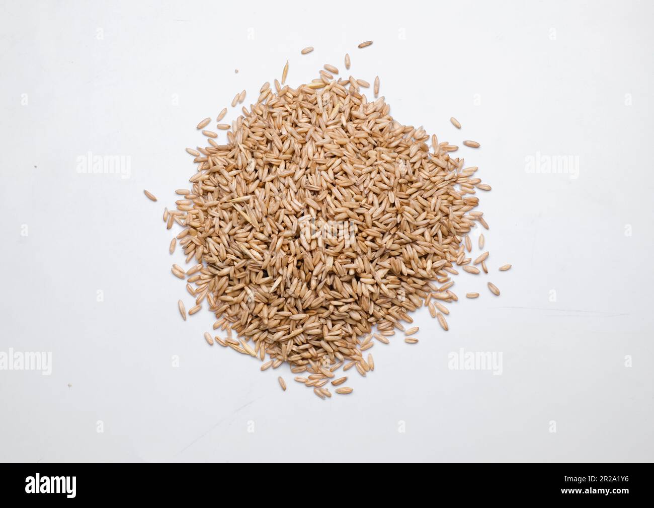 Oat seeds hi-res stock photography and images - Alamy