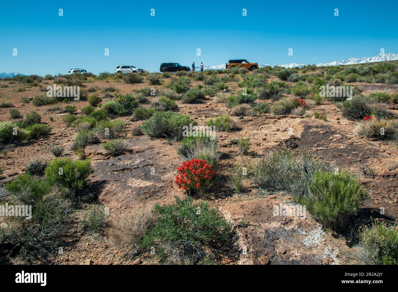The Volcanic Tablelands, an area just north of Bishop, Inyo County, CA ...