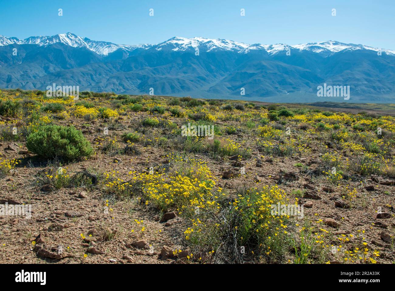 The Volcanic Tablelands, an area just north of Bishop, Inyo County, CA ...