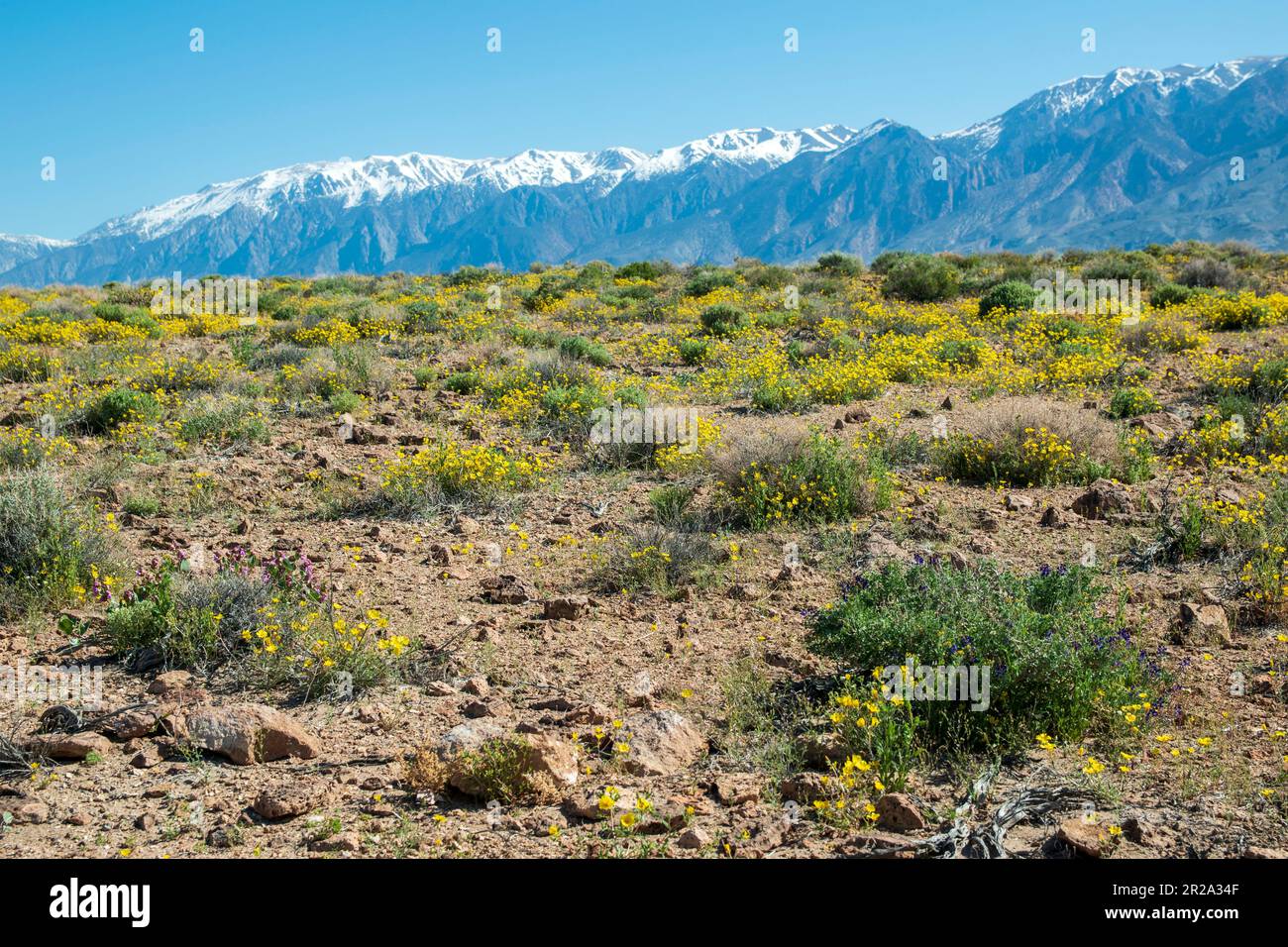 The Volcanic Tablelands, an area just north of Bishop, Inyo County, CA ...