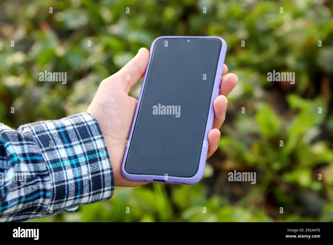Phone mock up outside. Farm agriculture concept. farmer with mobile ...