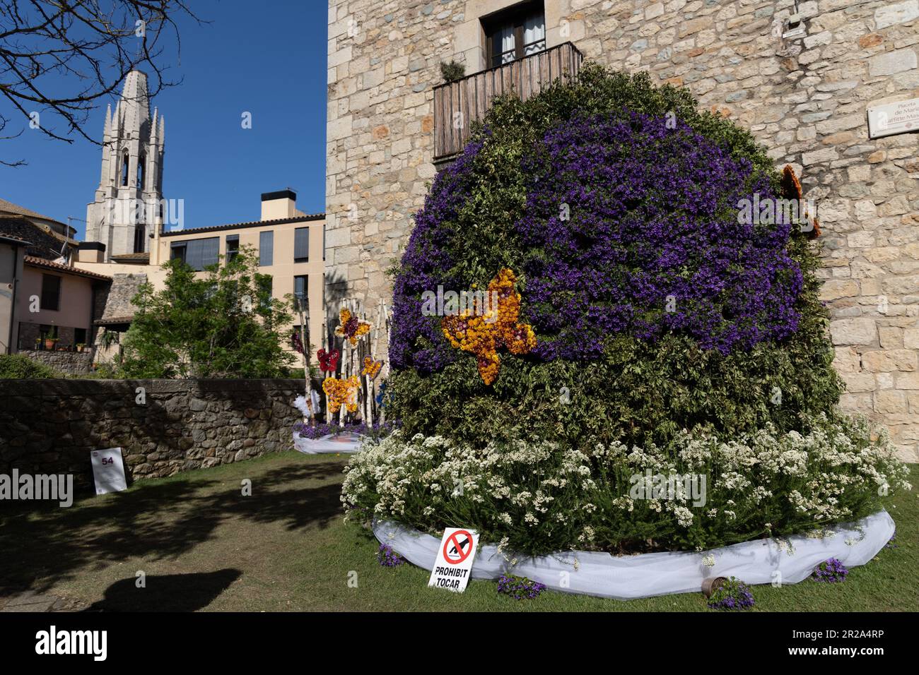 Girona flower show 2023 - Temps de Flors - floral displays in the ...