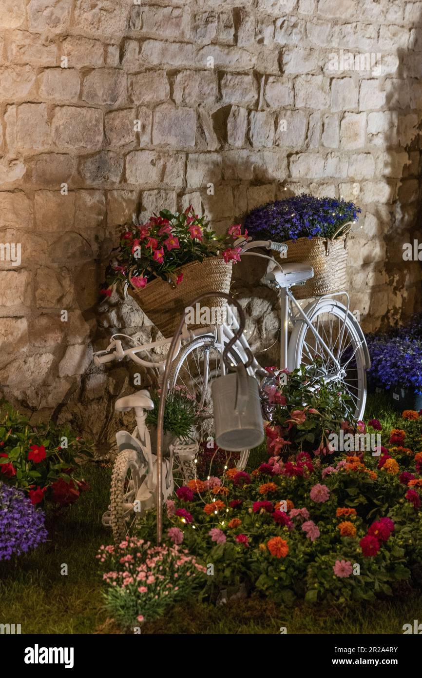 Girona flower show 2023 - Temps de Flors - floral displays in the ...