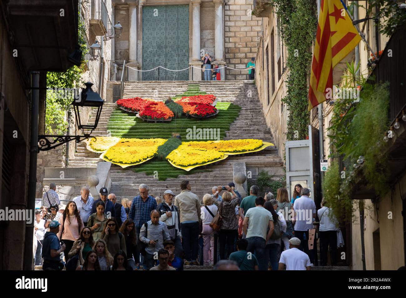 Girona flower show 2023 - Temps de Flors - floral displays in the ...