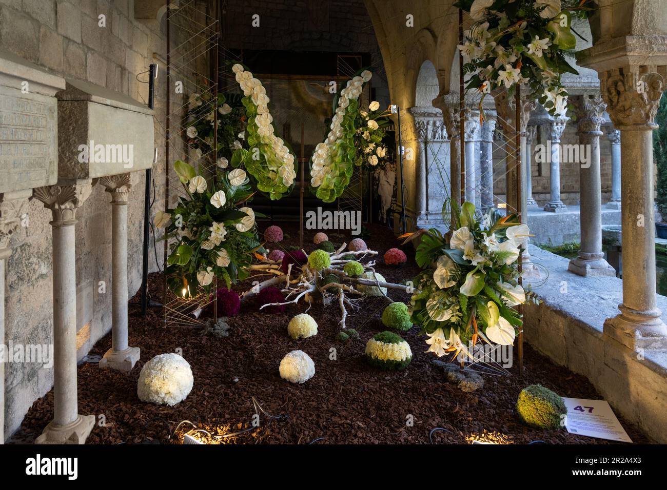 Girona flower show 2023 - Temps de Flors - floral displays in the ...