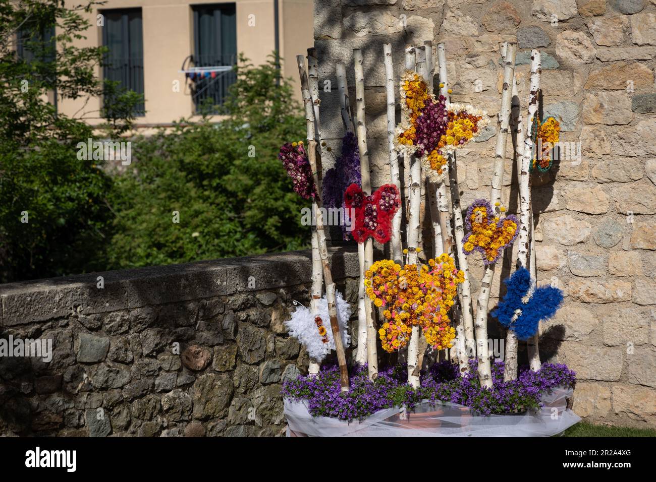 Girona flower show 2023 - Temps de Flors - floral displays in the ...