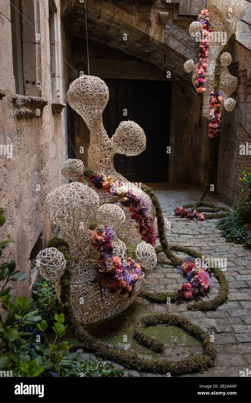 Girona flower show 2023 - Temps de Flors - floral displays in the ...