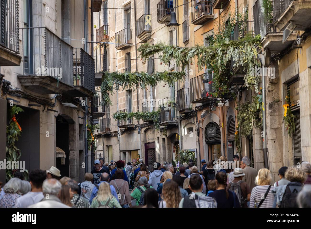Girona flower show 2023 - Temps de Flors - floral displays in the ...