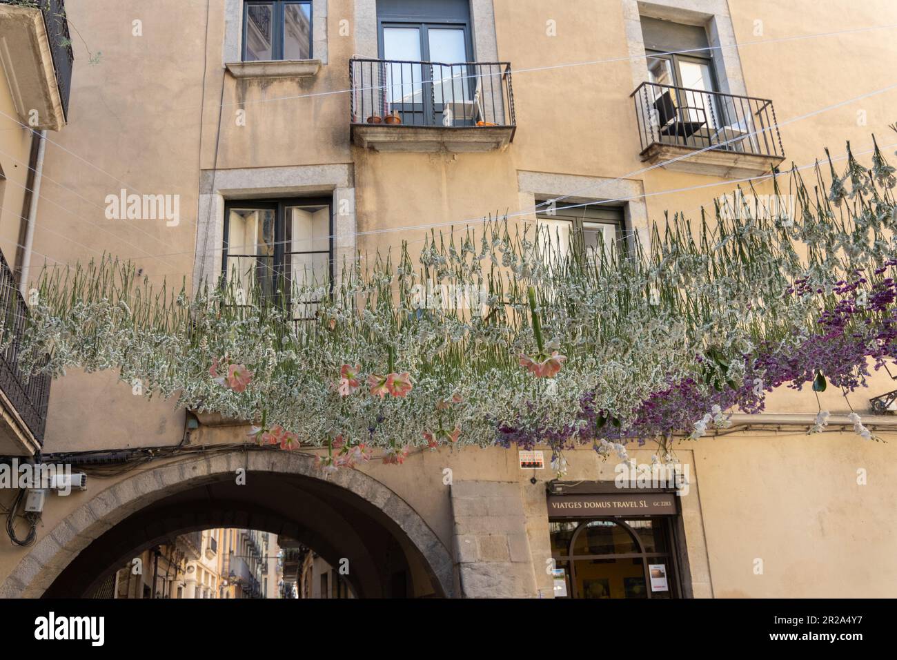 Girona flower show 2023 - Temps de Flors - floral displays in the ...