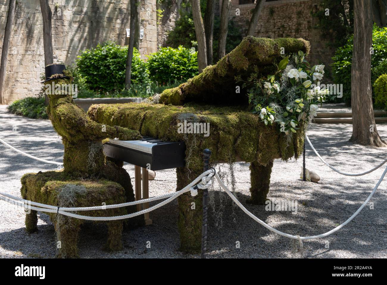 Girona flower show 2023 - Temps de Flors - floral displays in the ...