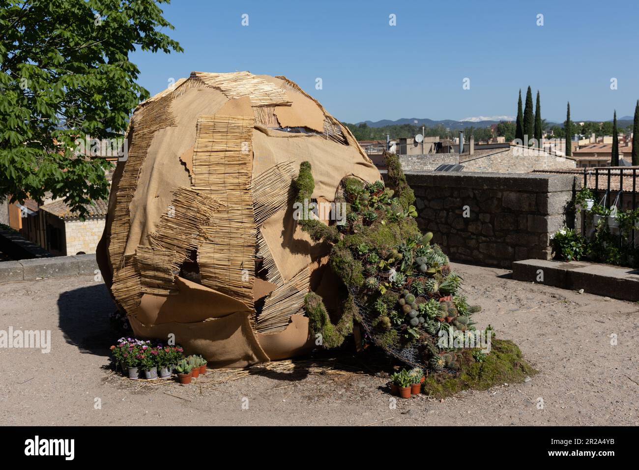 Girona flower show 2023 - Temps de Flors - floral displays in the ...