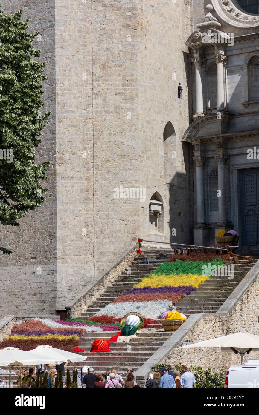 Girona flower show 2023 - Temps de Flors - floral displays in the ...