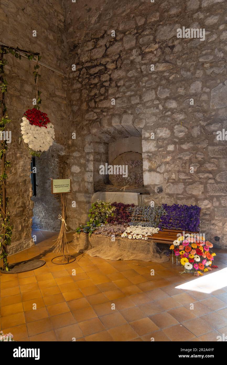 Girona flower show 2023 - Temps de Flors - floral displays in the ...