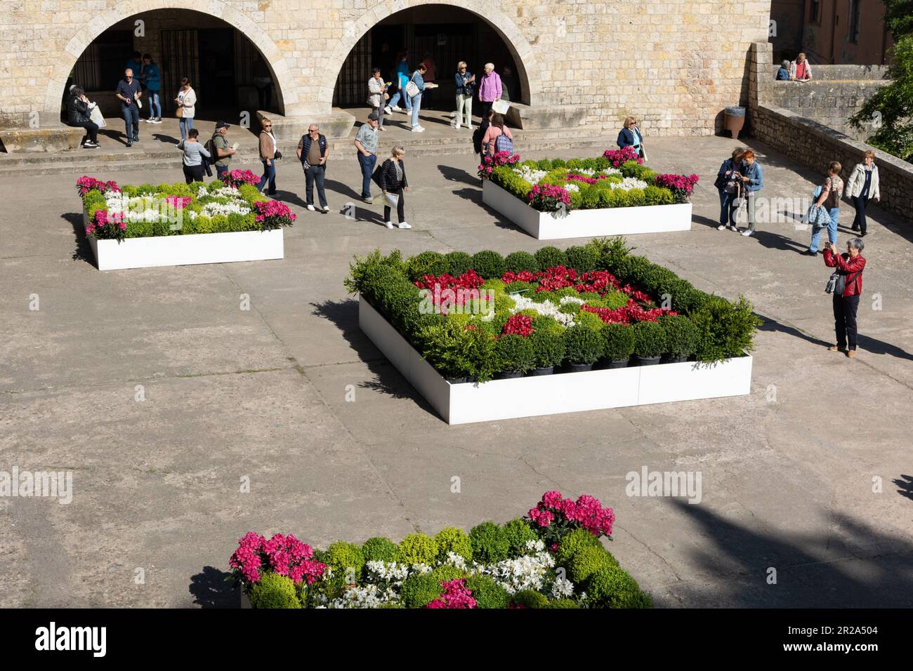 Girona flower show 2023 - Temps de Flors - floral displays in the ...