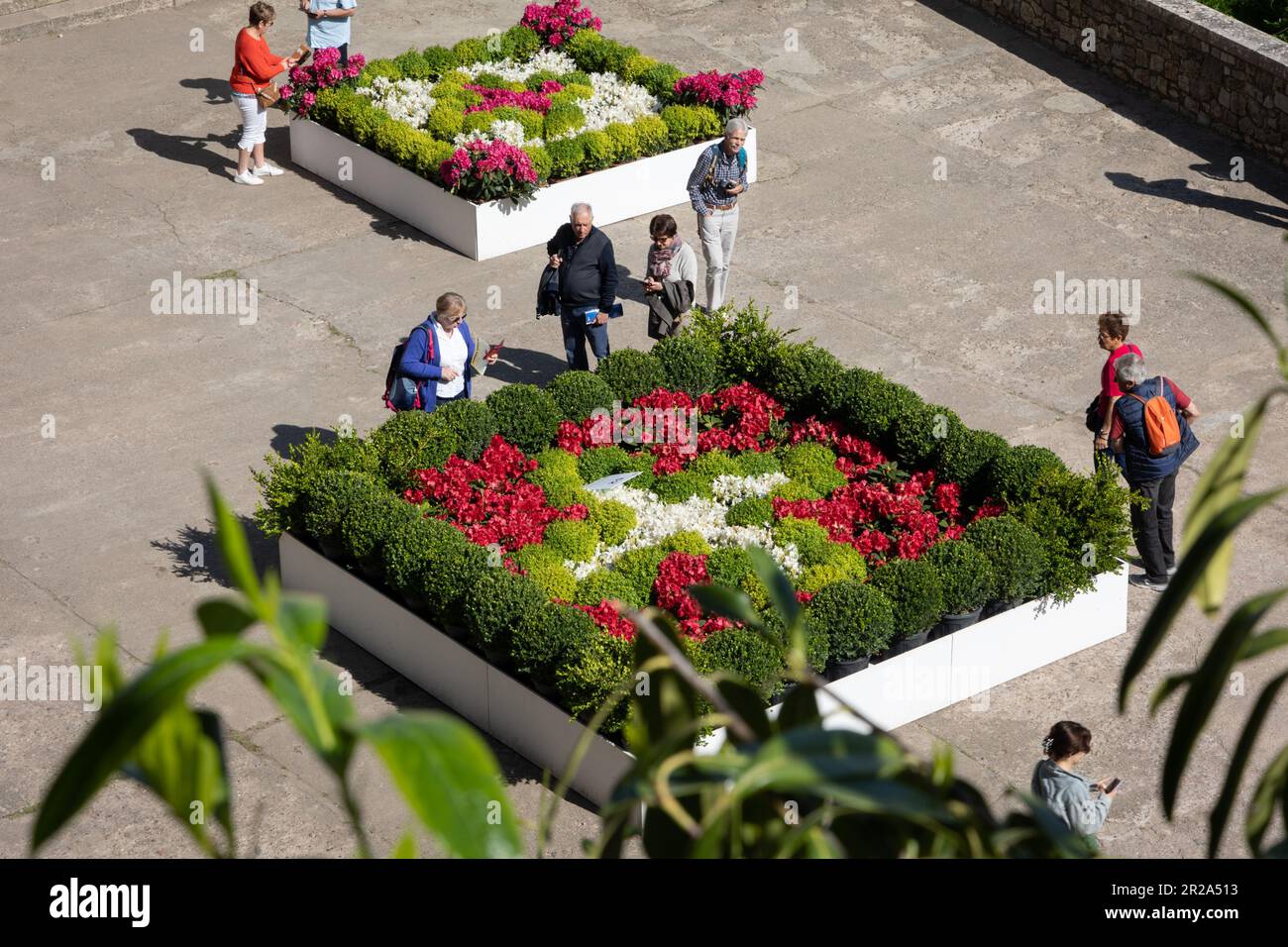 Girona flower show 2023 - Temps de Flors - floral displays in the ...