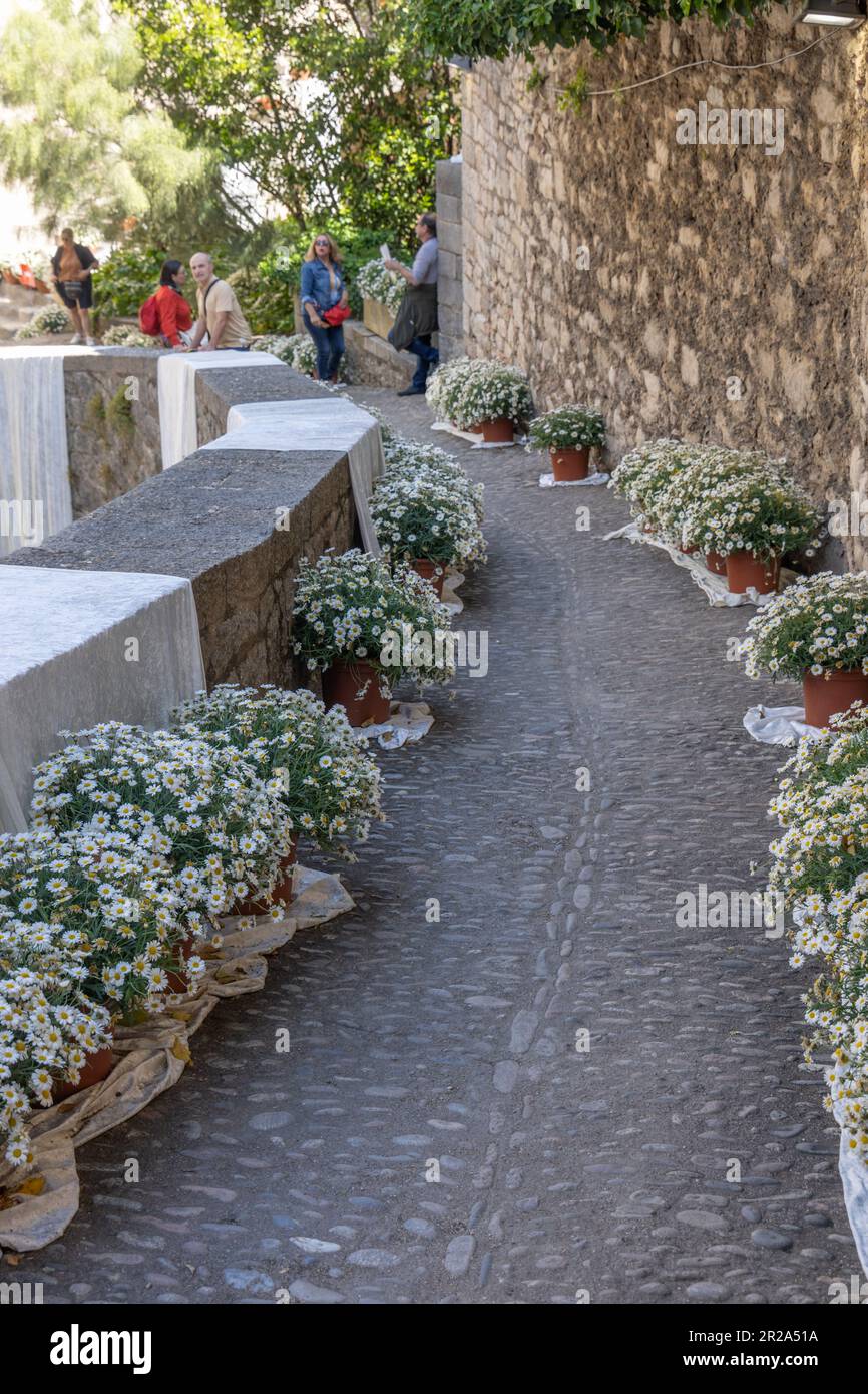 Girona flower show 2023 - Temps de Flors - floral displays in the ...