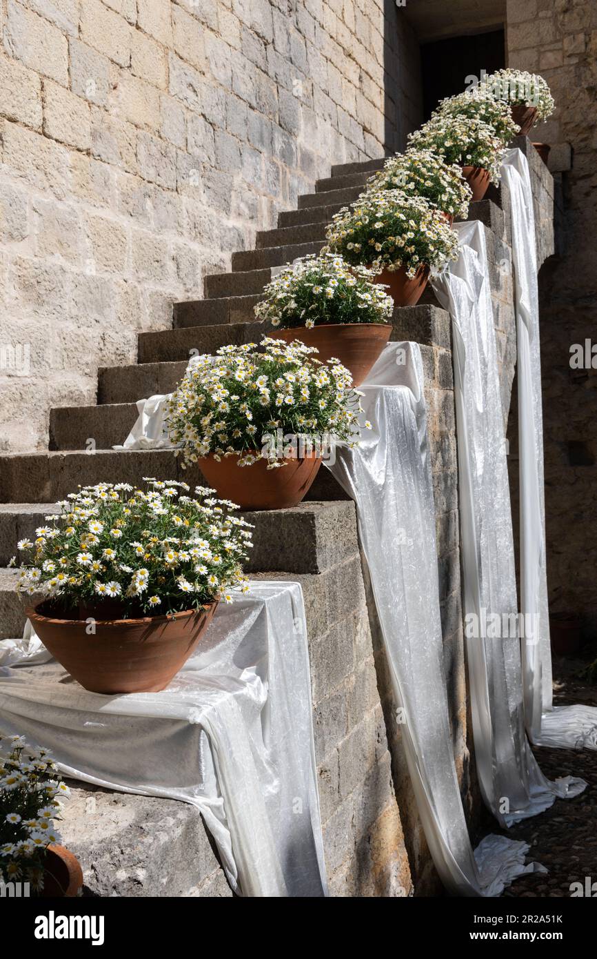 Girona flower show 2023 - Temps de Flors - floral displays in the ...