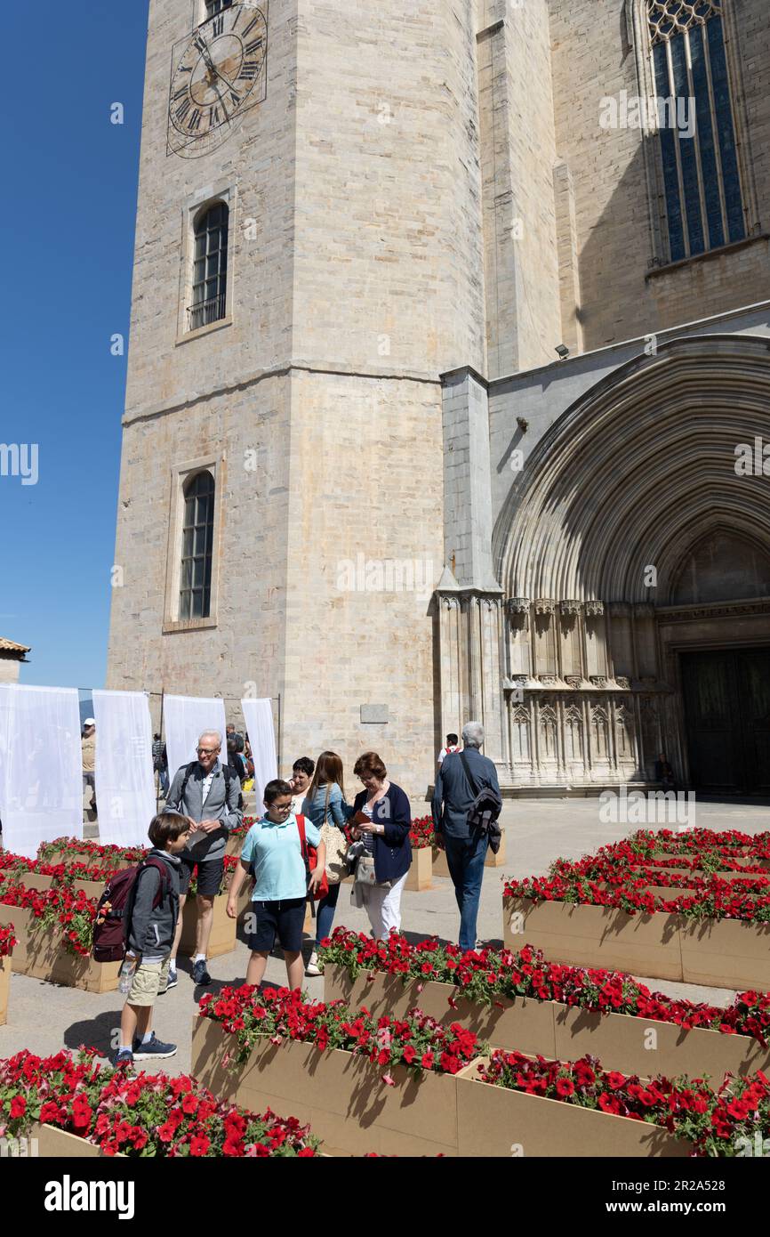 Girona flower show 2023 - Temps de Flors - floral displays in the ...