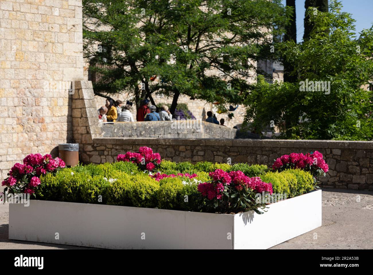 Girona flower show 2023 - Temps de Flors - floral displays in the ...