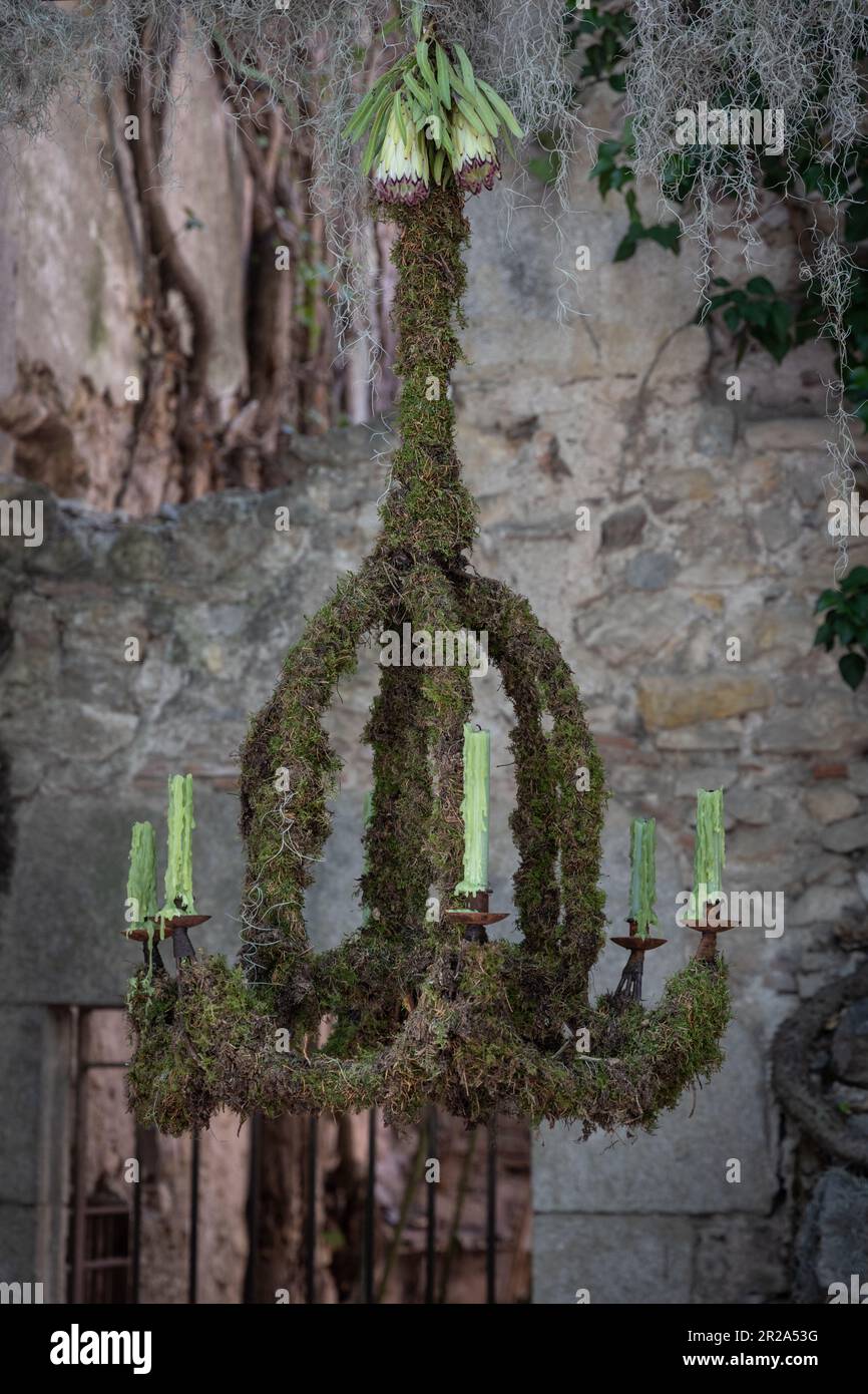Girona flower show 2023 - Temps de Flors - floral displays in the ...