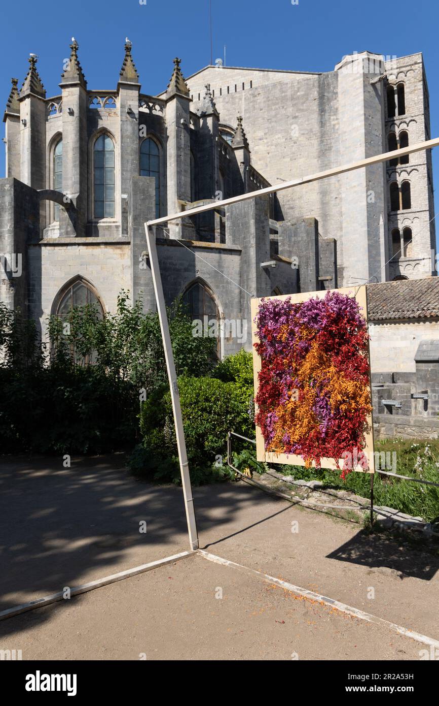 Girona flower show 2023 - Temps de Flors - floral displays in the ...