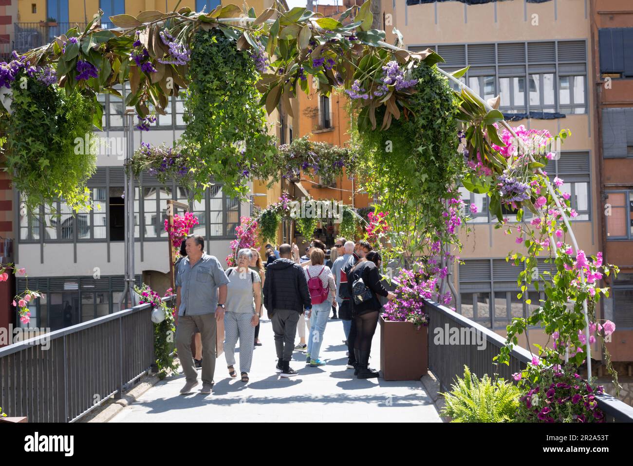 Girona flower show 2023 - Temps de Flors - floral displays in the ...
