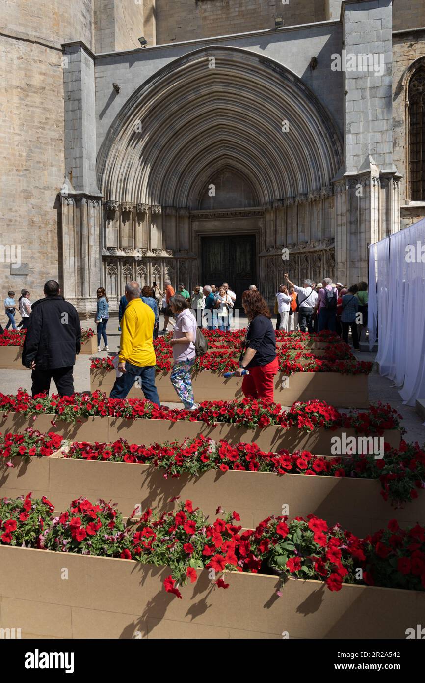 Girona flower show 2023 - Temps de Flors - floral displays in the ...