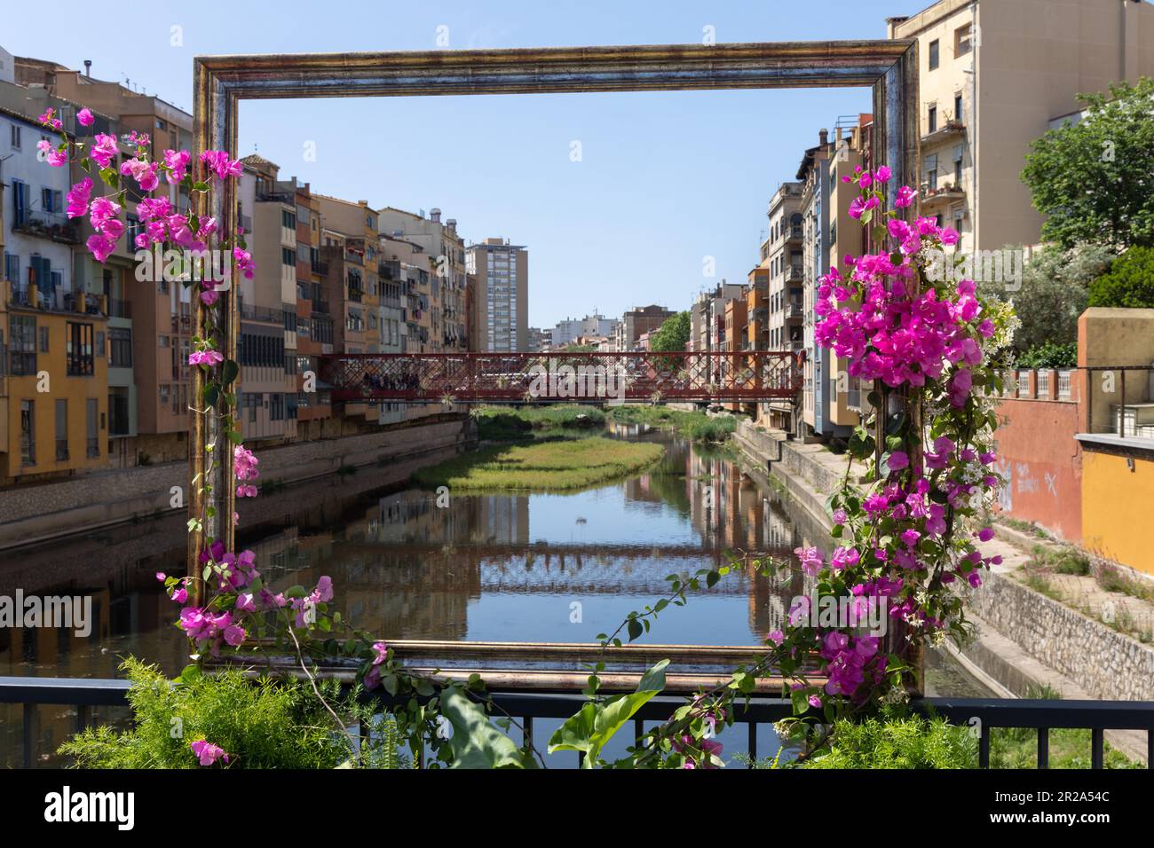 Girona flower show 2023 - Temps de Flors - floral displays in the ...