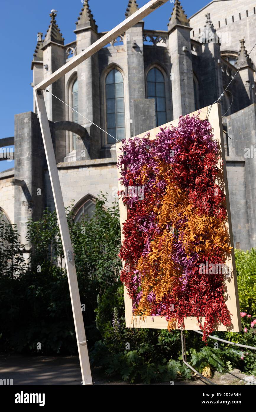 Girona flower show 2023 - Temps de Flors - floral displays in the ...