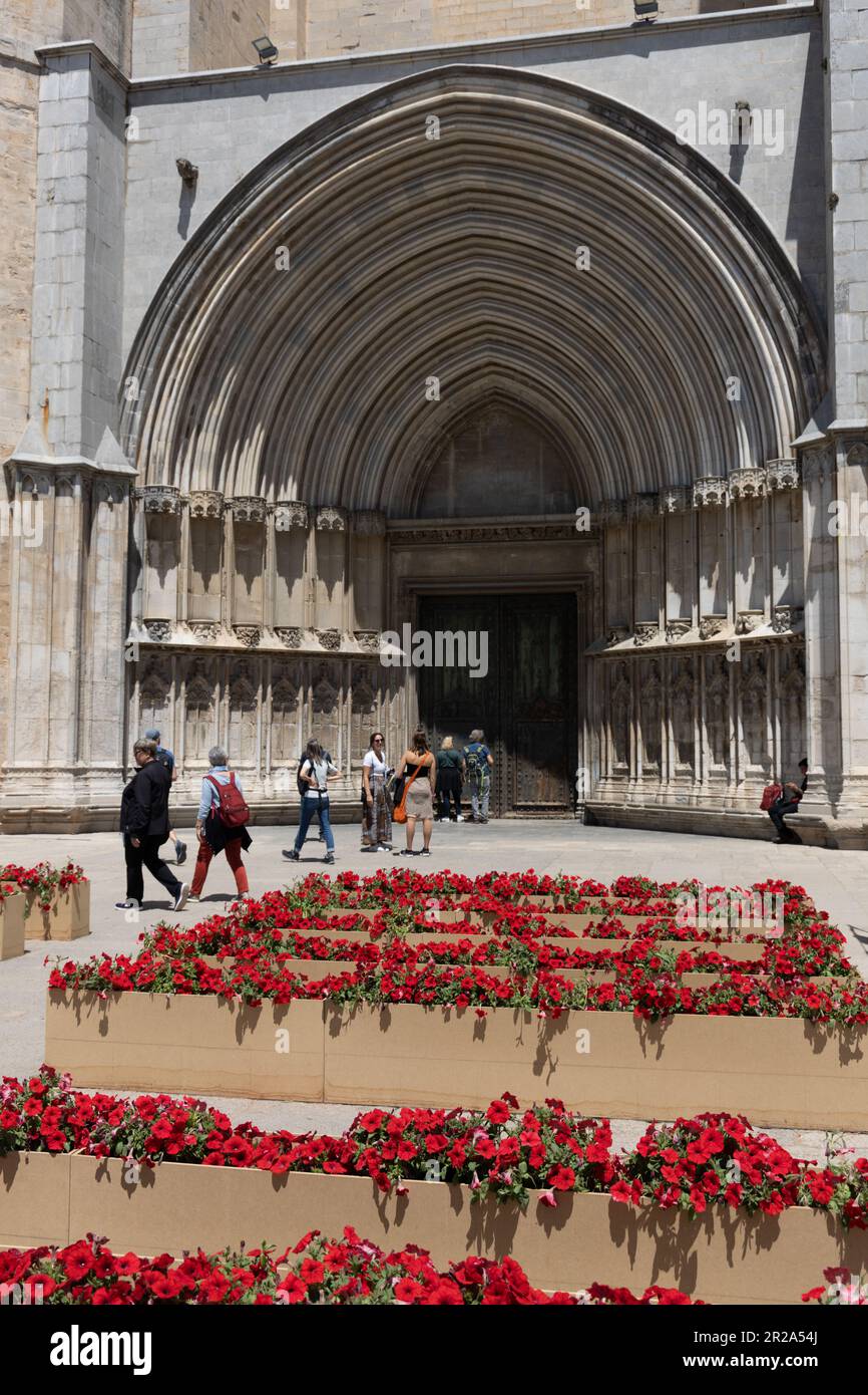 Girona flower show 2023 - Temps de Flors - floral displays in the ...