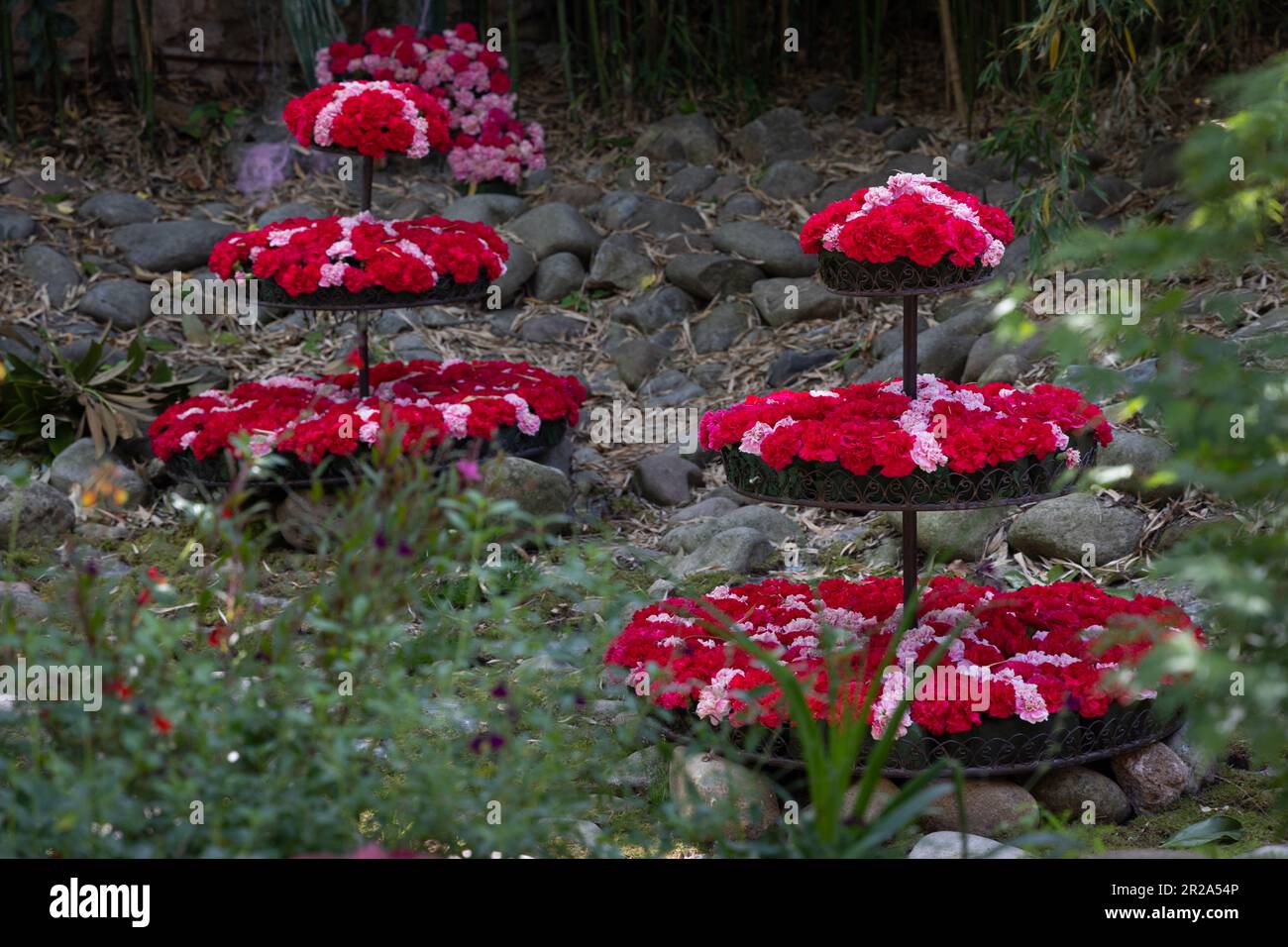 Girona flower show 2023 - Temps de Flors - floral displays in the ...