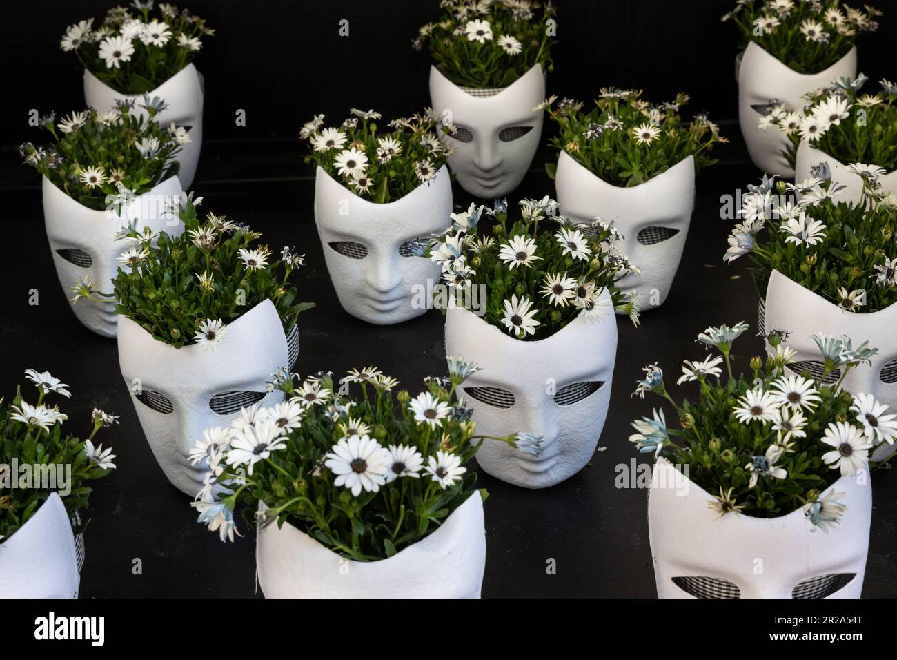 Girona flower show 2023 - Temps de Flors - floral displays in the ...