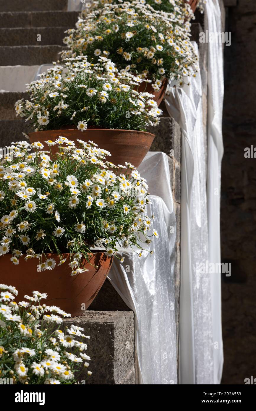 Girona flower show 2023 - Temps de Flors - floral displays in the ...